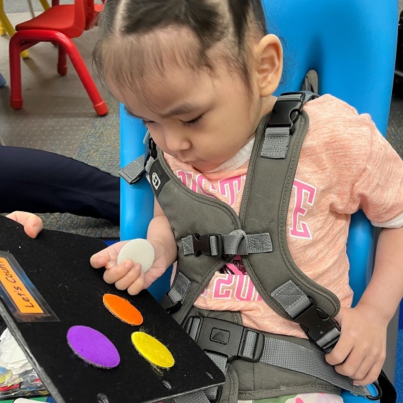 Multiple Disabilities - Special Education Service Agency